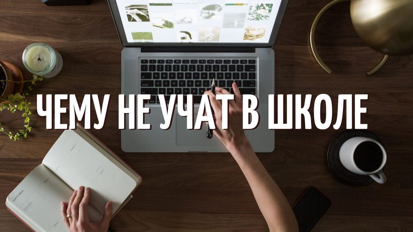 Чему не учат в школе | Teenergizer